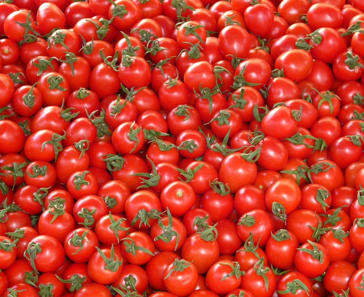 We All Say Local Tomatoes! - Asheville.com