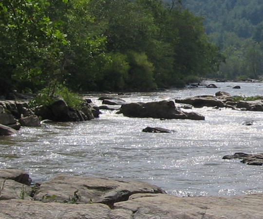 RiverLink Announces Bus Tour - Asheville.com