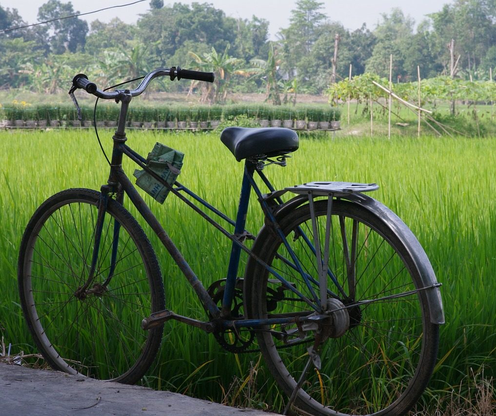 Cycle to Farm Bike Ride on July 16th - Asheville.com