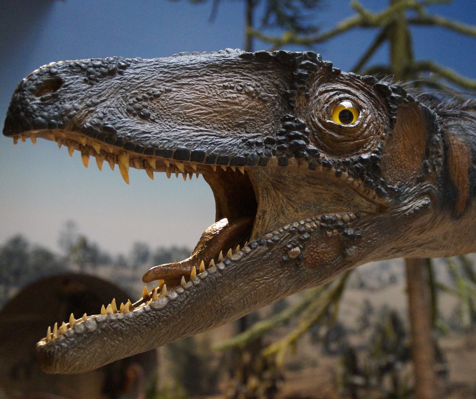 "Discover the Dinosaurs UNLEASHED" Exhibit Roars Into Asheville ...
