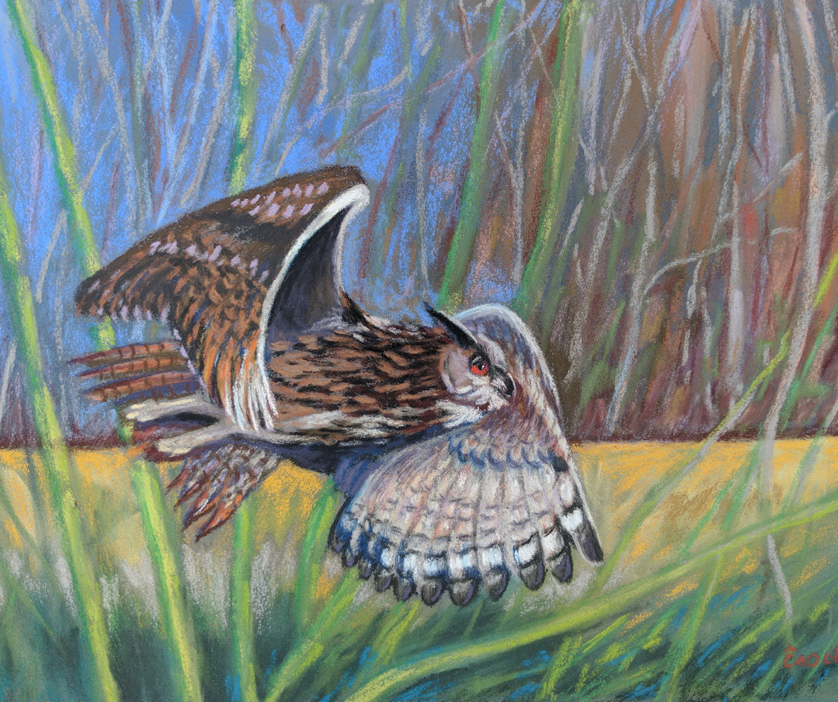 Take a Walk on the Wild Side at Wild Art 2017 - Asheville.com