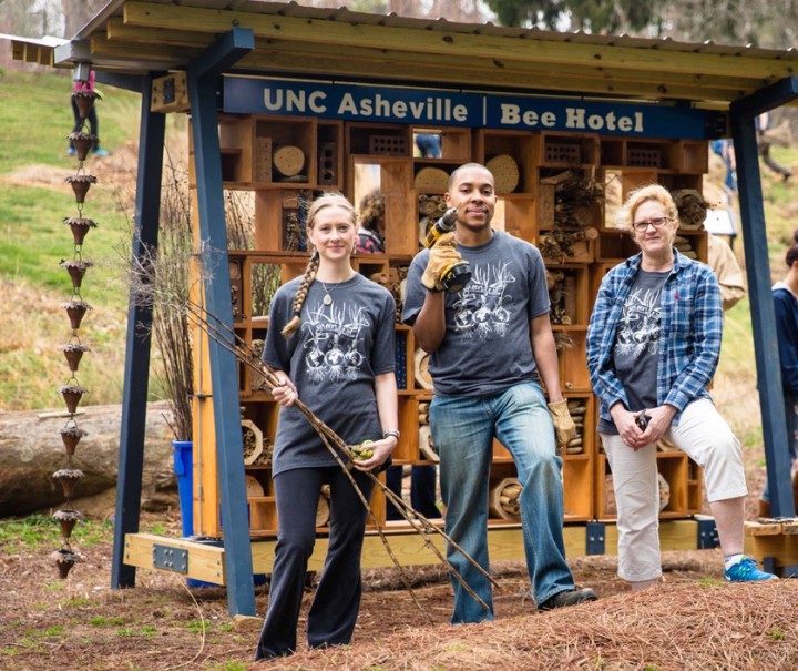 UNC Asheville's Greenfest Through Sept. 19th - Asheville.com