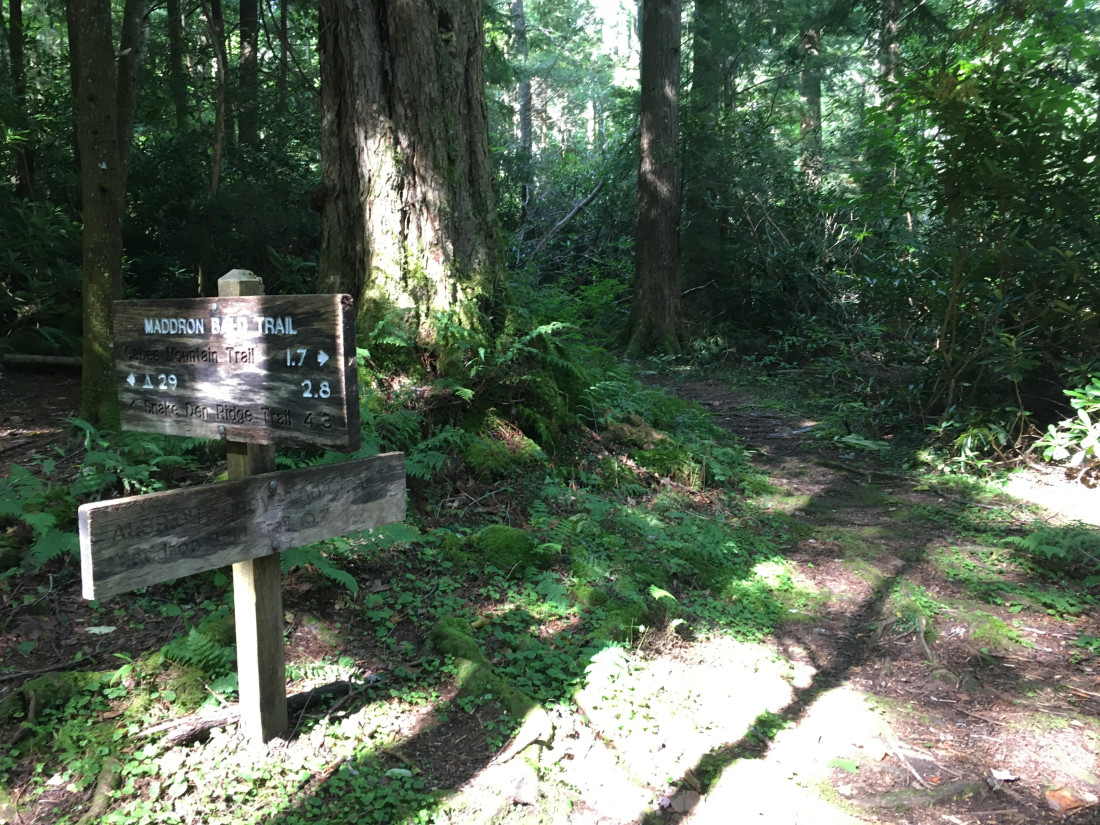 Guided Hike on Sept. 11 to Support Smokies Trail Work - Asheville.com