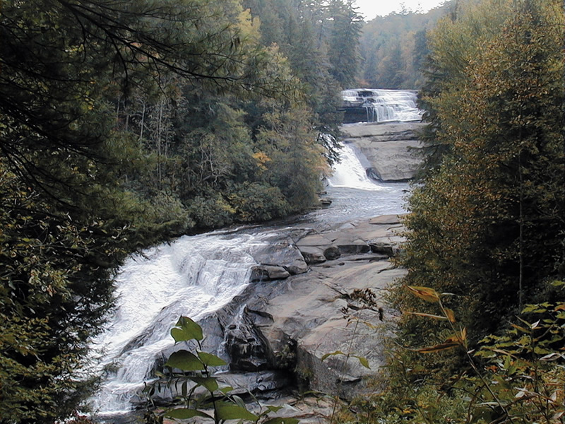 DuPont State Recreational Forest Begins Phased Reopening - Asheville.com