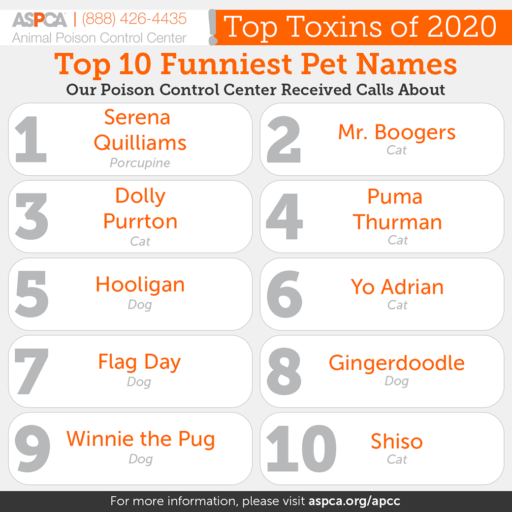 ASPCA Releases Top Ten List Of Funniest Pet Names Of 2020 Asheville