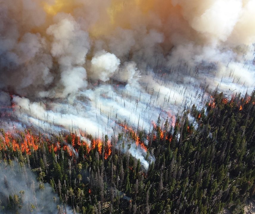 Arson is Second-leading Cause of Wildfires in N.C. - Hendersonville.com