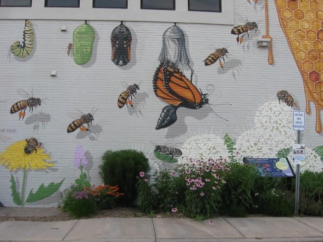 A Guided Walk to Celebrate Pollinator Week - Hendersonville.com