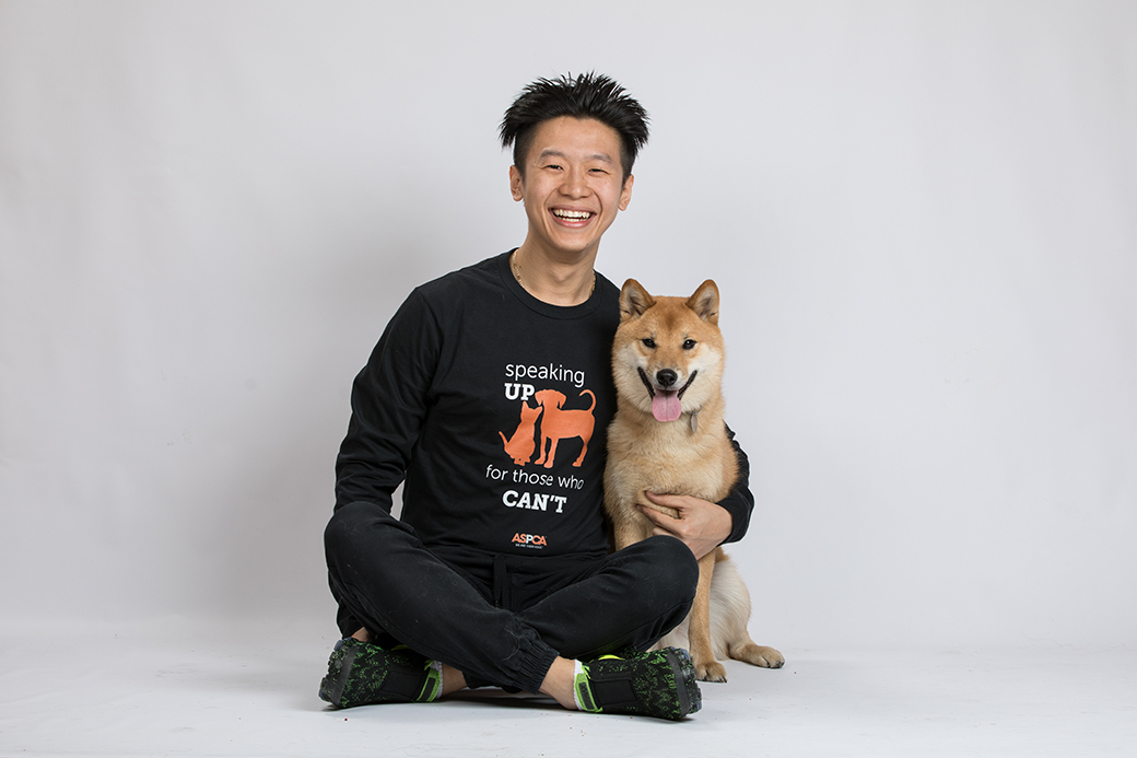 Shop ASPCA Gear on Amazon: Show Your Love for Animals! - Greenville.com