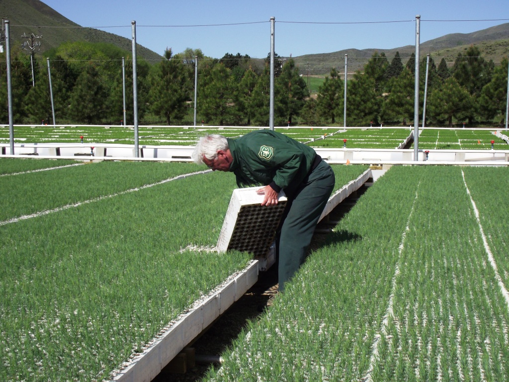 2018 Seedling Price Guide Now Available - Spartanburg.com